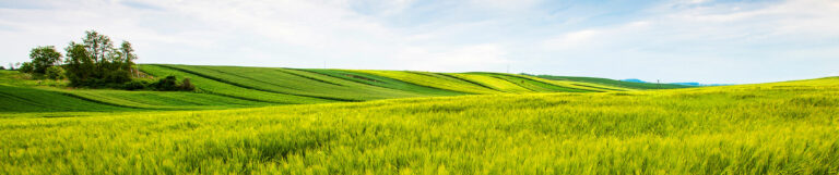 La coopérative qualisol