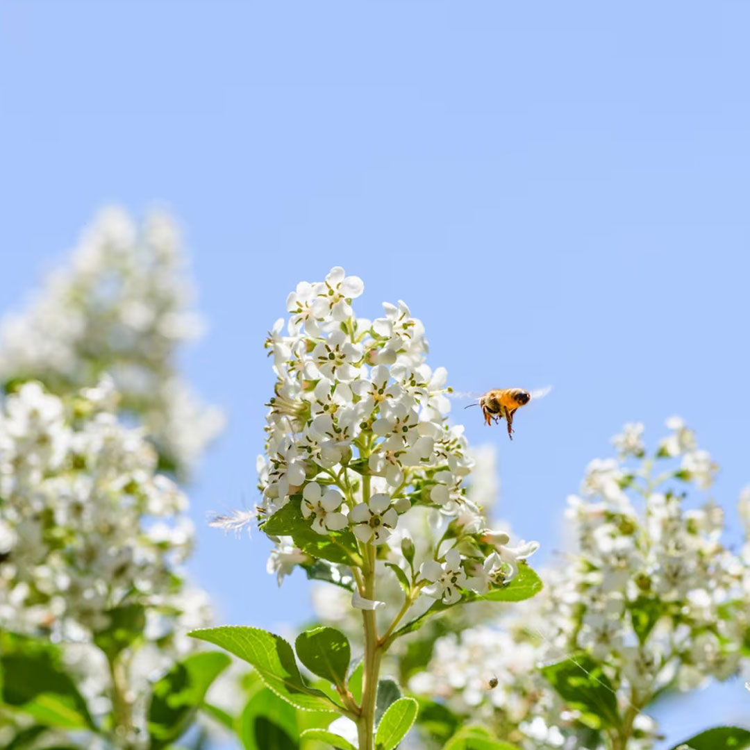 La coopérative qualisol