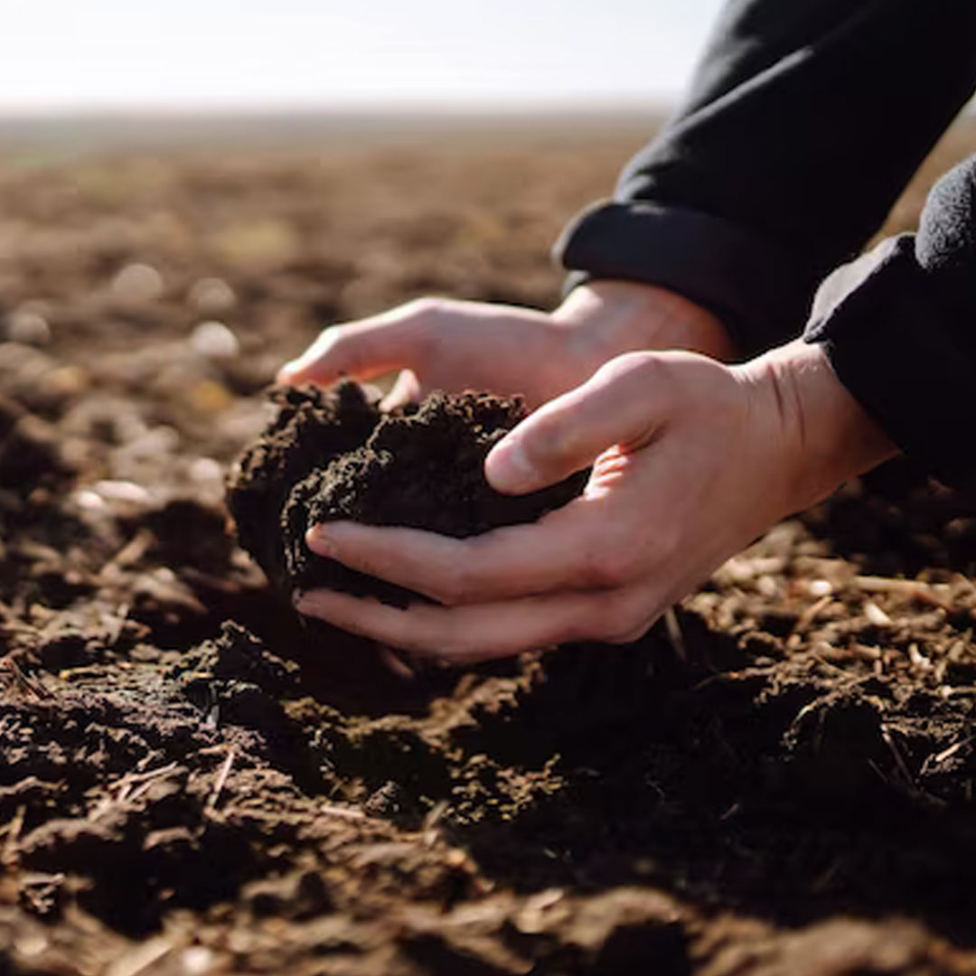 La coopérative qualisol