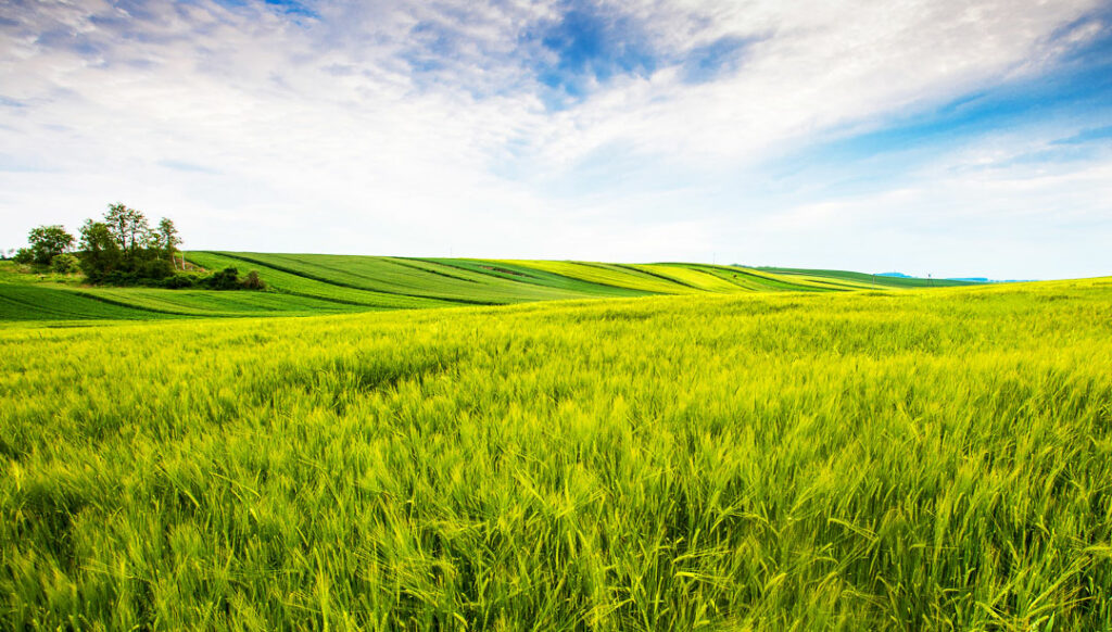 La coopérative qualisol