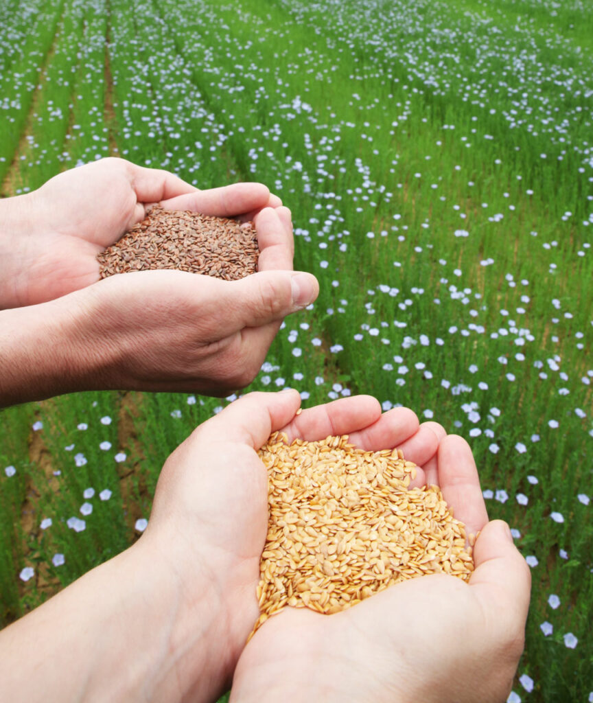 La coopérative qualisol